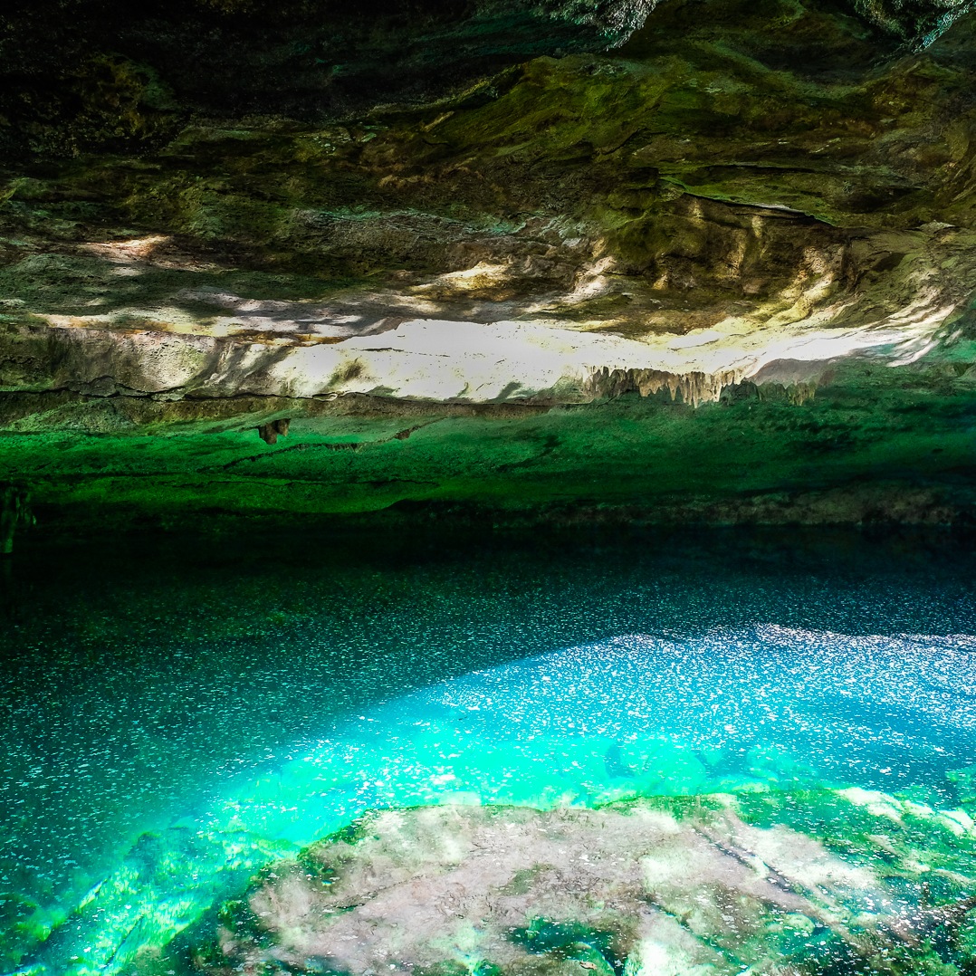 National Park Info - Bahamas National Trust