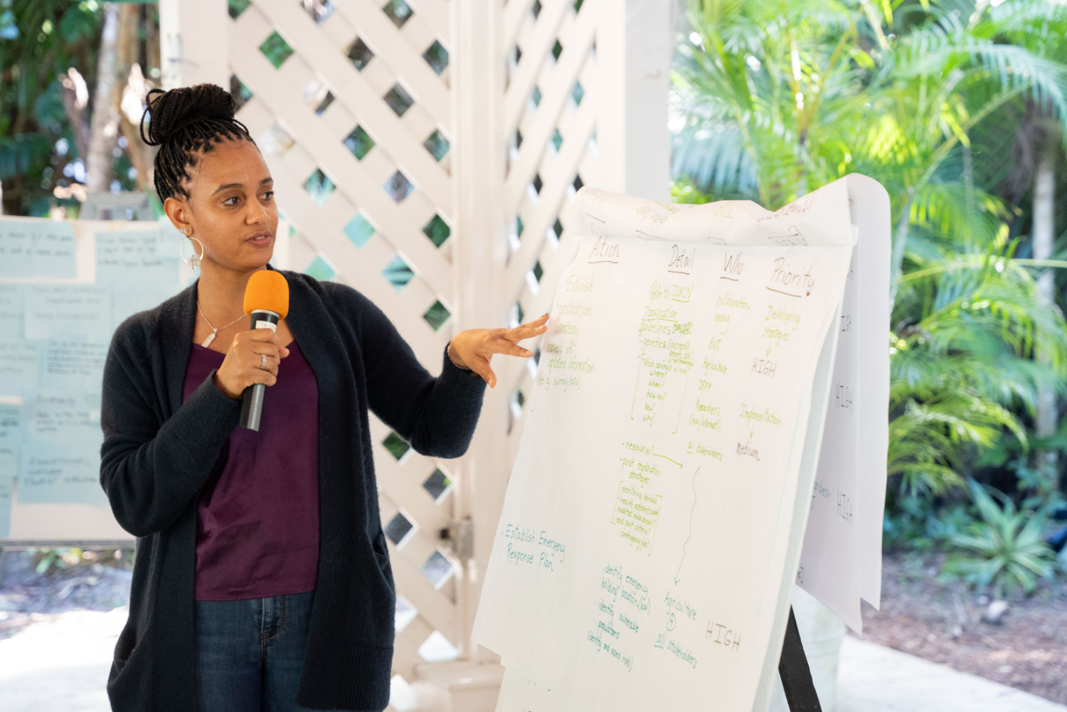 Uniting for Iguana Conservation: Charting the Future of the Central ...